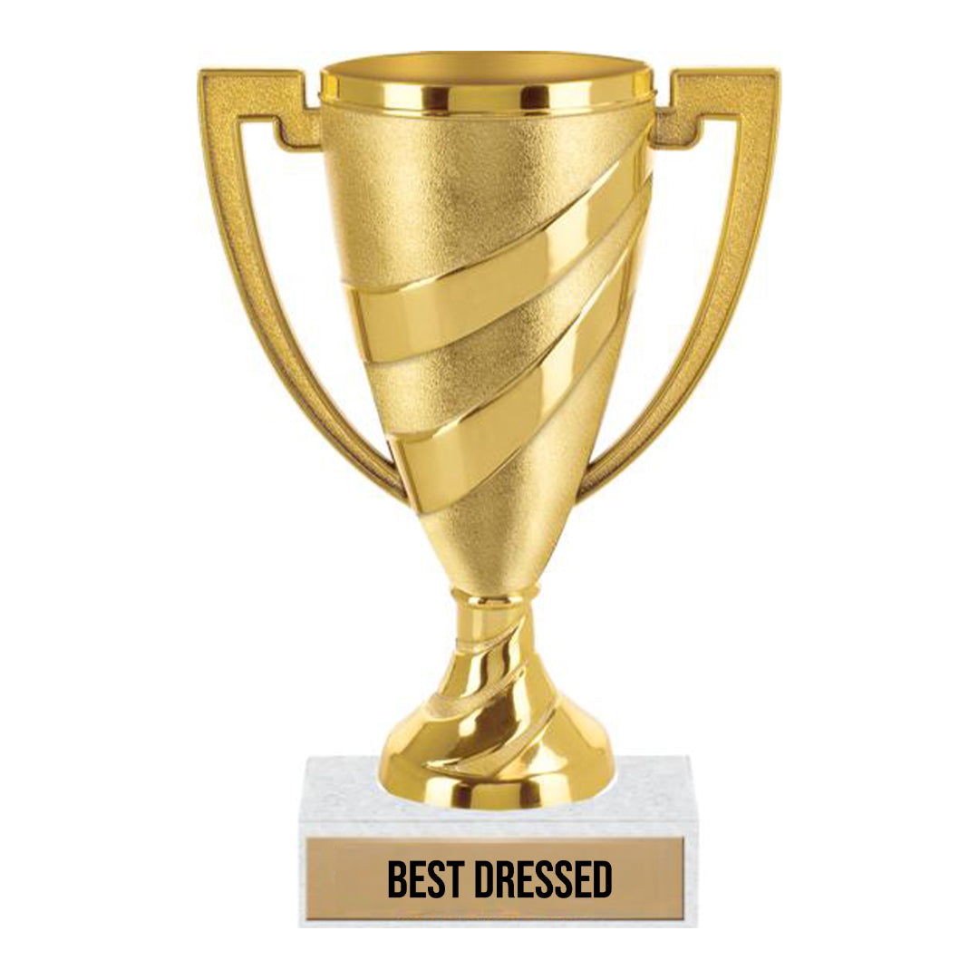 Best Dressed Trophy | Funny Superlative Awards