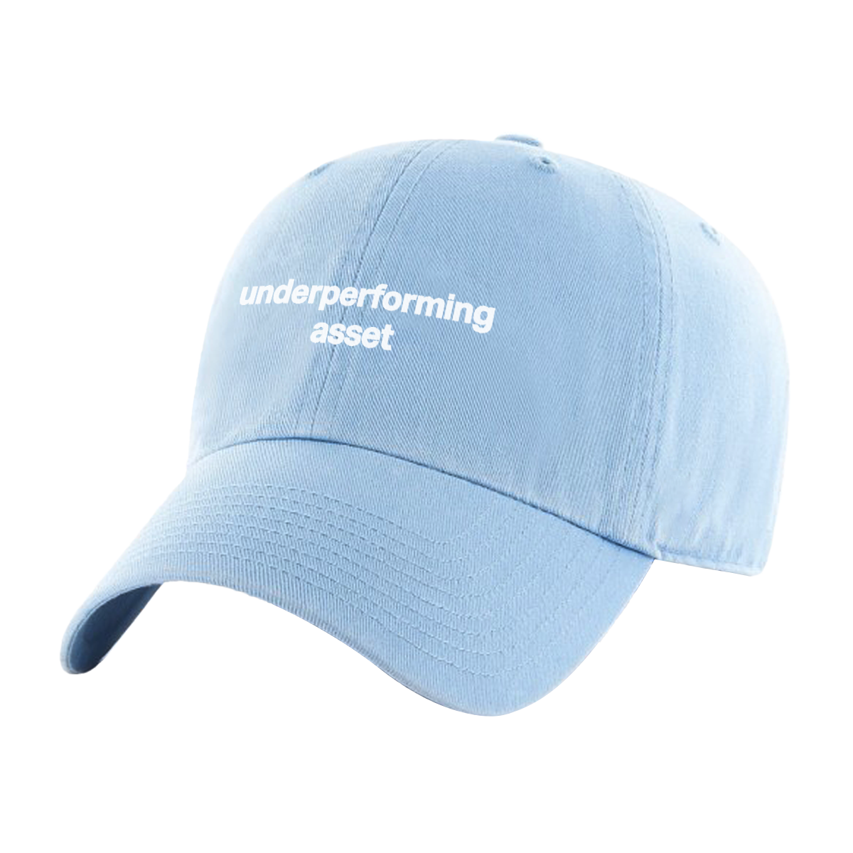 Funny Accounting Hats | Asset Liability Hat