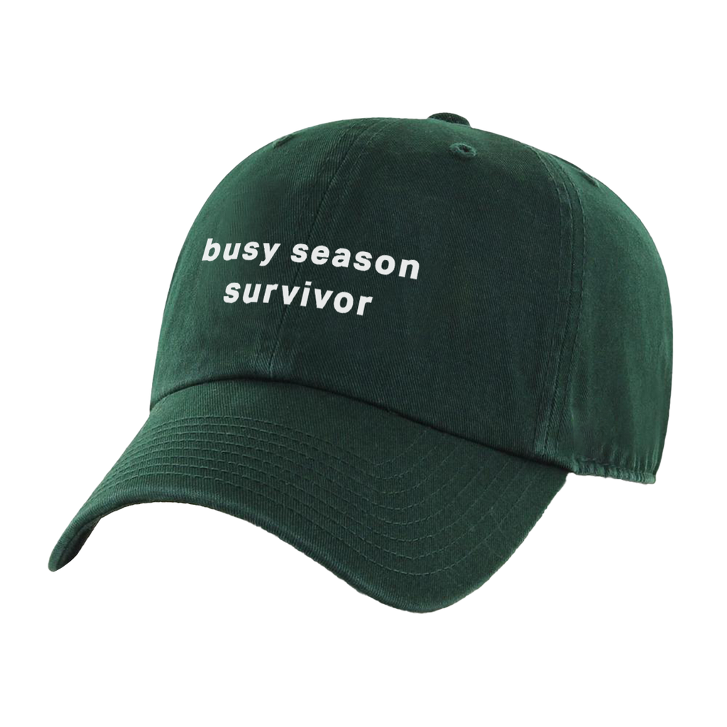 Funny Accounting Hats | Busy Season Survivor Hat